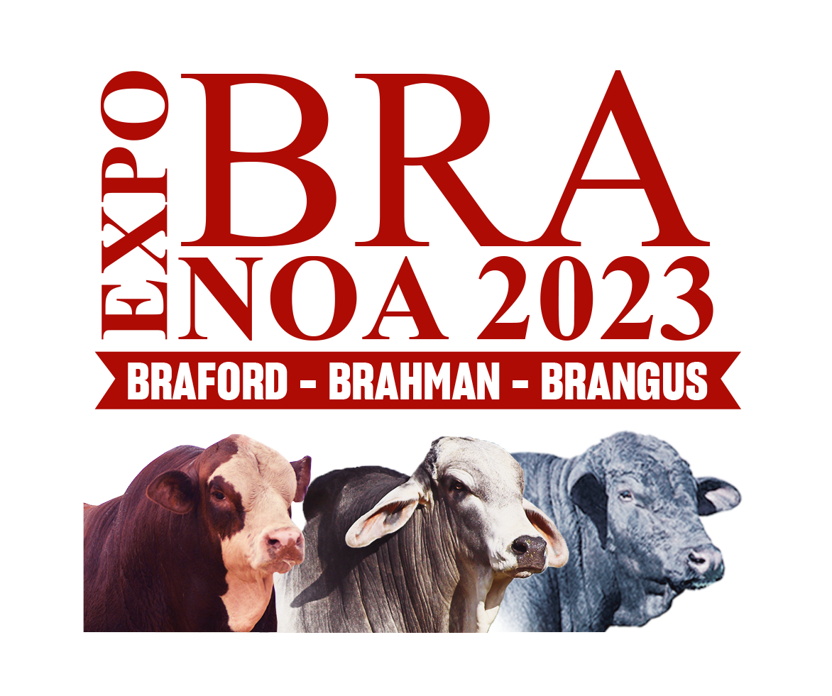 ExpoBra NOA 2023 - Braford